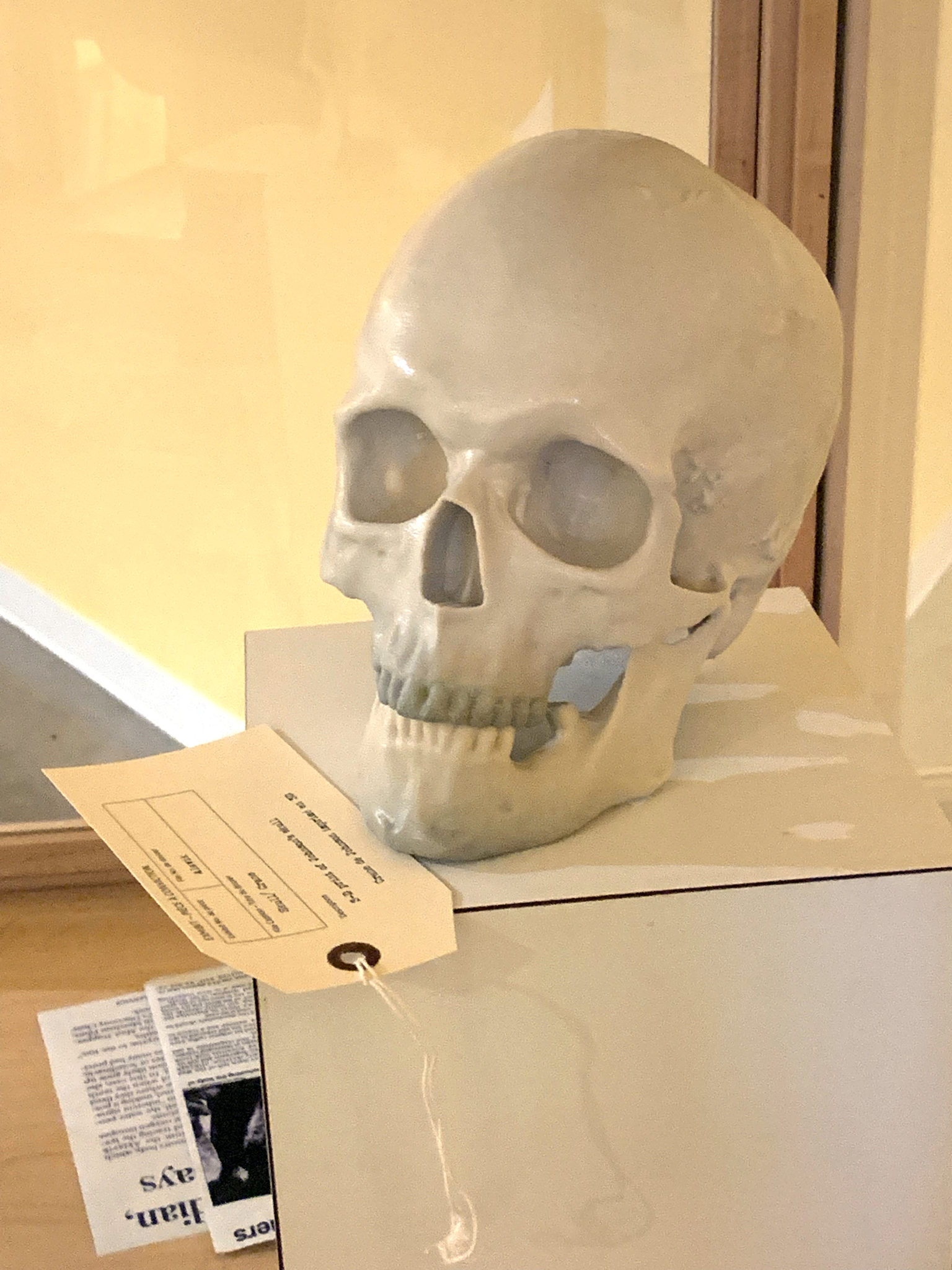 RCMP Heritage Centre | Macabre Museum: Mad Trapper